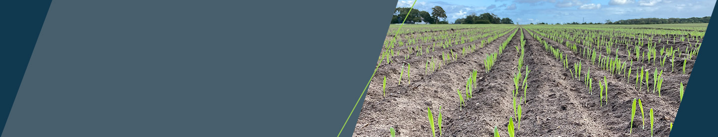 Bayer Crop Science Danmark