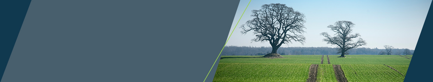 Cossack OD - bekæmper ukrudt i marken om foråret - Bayer Crop Science ...