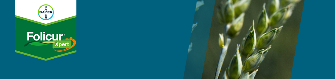 Folicur Xpert - bredtvirkende svampemiddel til korn, raps og frøgræs ...