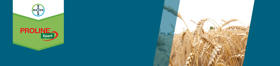 Proline® Xpert - bredtvirkende svampemiddel til hvede, byg, havre, rug ...